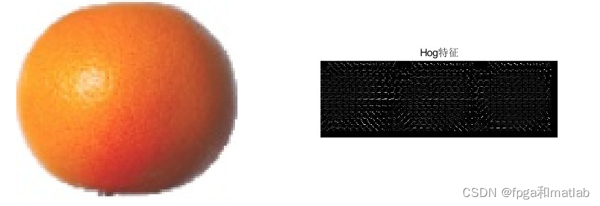 图像HOG特征提取_提取图像hog特征的步骤-CSDN博客