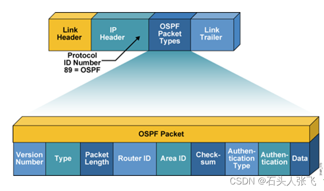 OSPF总结_ospf csdn-CSDN博客