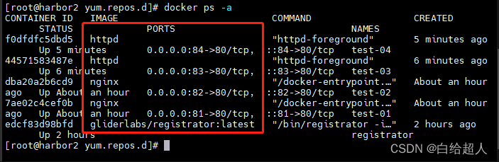 Docker容器-------Consul部署_dockre守护进程连接consul-CSDN博客