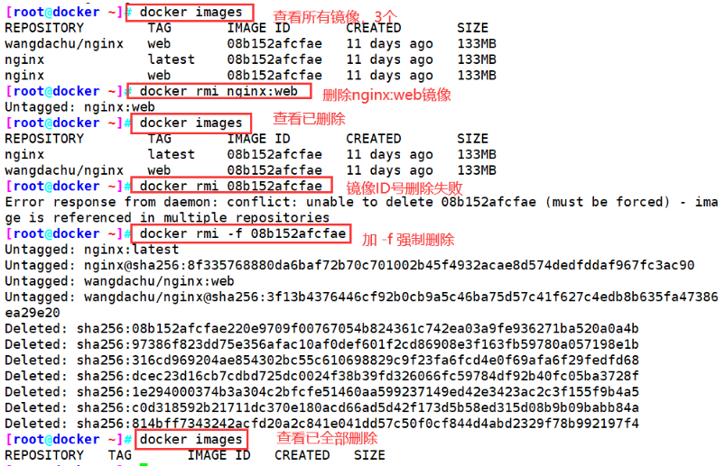 Docker镜像和容器的基本命令操作_docker下载镜像命令-CSDN博客