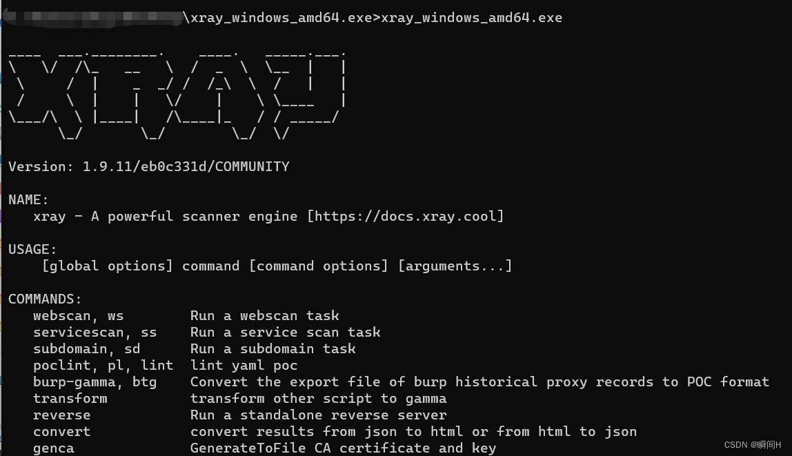 Xray工具的安装与使用_xray poc-CSDN博客