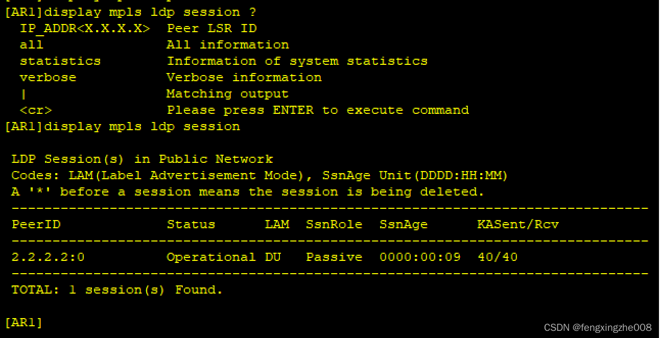 MPLS/LDP原理介绍+报文分析+配置示例_mpls报文格式-CSDN博客