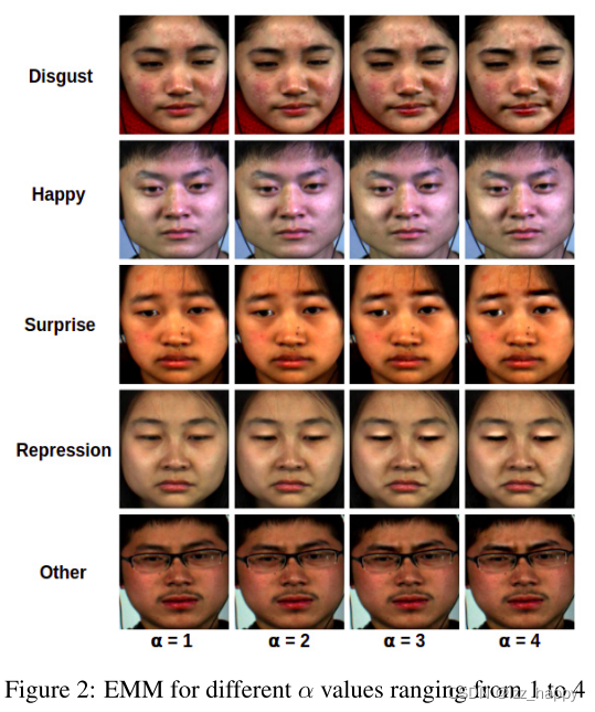 Micro-Expression Classiﬁcation based on Landmark Relations with Graph ...