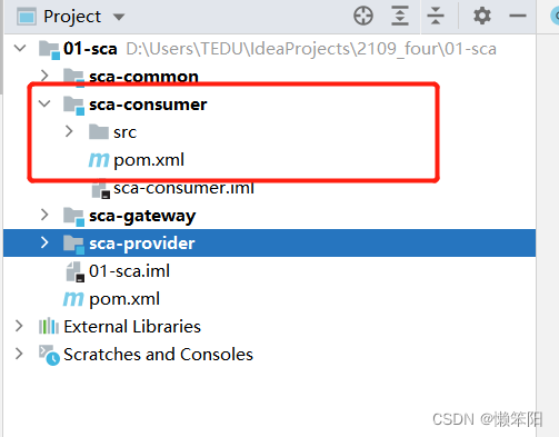 Nacos服务注册中心_nacos his_config_info_懂Java的懒阳阳的博客-CSDN博客