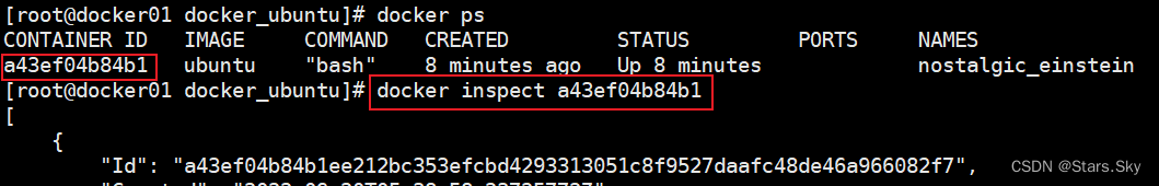 【云原生 | Docker 基础篇】08、Docker 容器数据卷_basename: unrecognized option '--privileged=true-CSDN博客