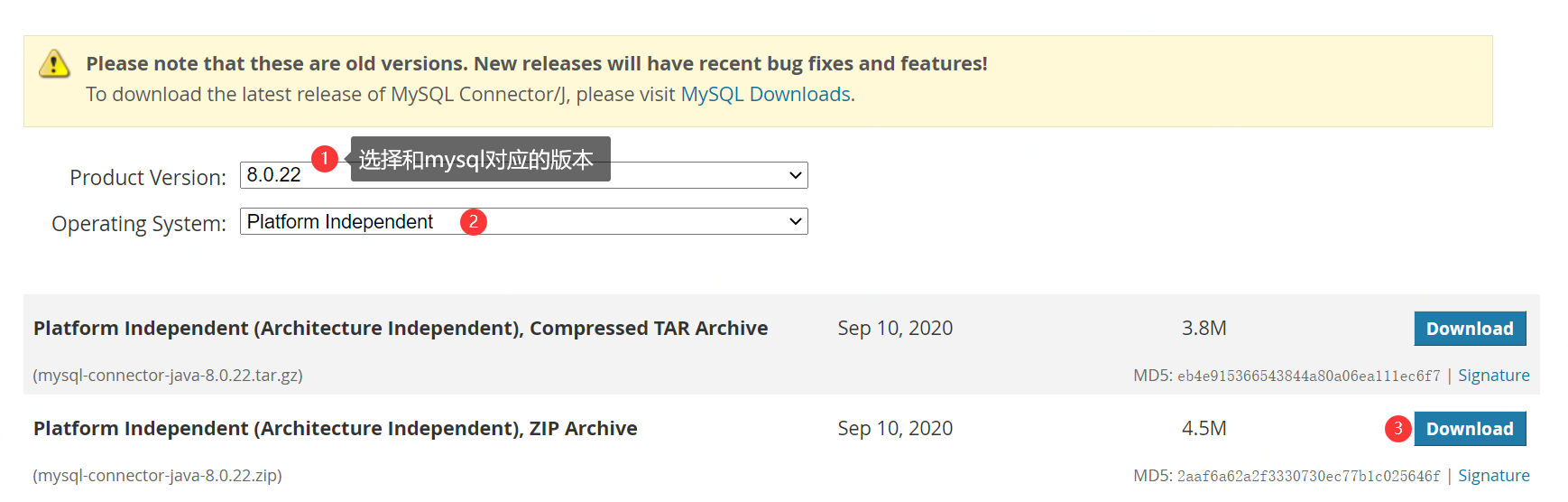 idea连接Mysql(8.0以上版本)数据库_mysql8.0对应idea中版本-CSDN博客