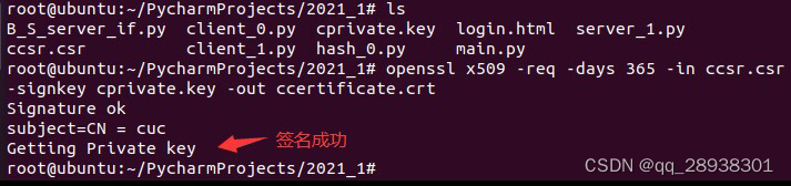 使用openssl生成自签名证书调用openssl接口生成自签证书 Csdn博客