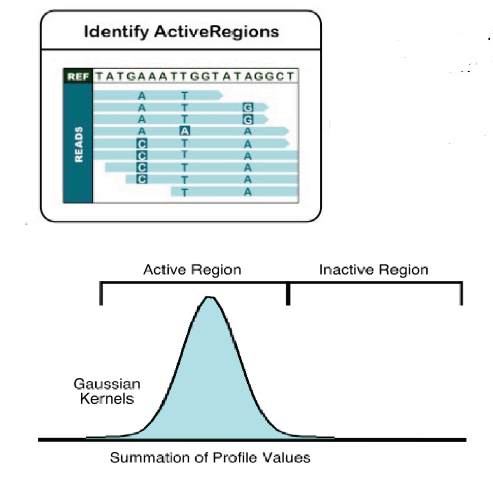 GATK-HaplotypeCaller 变异检测详解_gatk haplotypecaller参数-CSDN博客