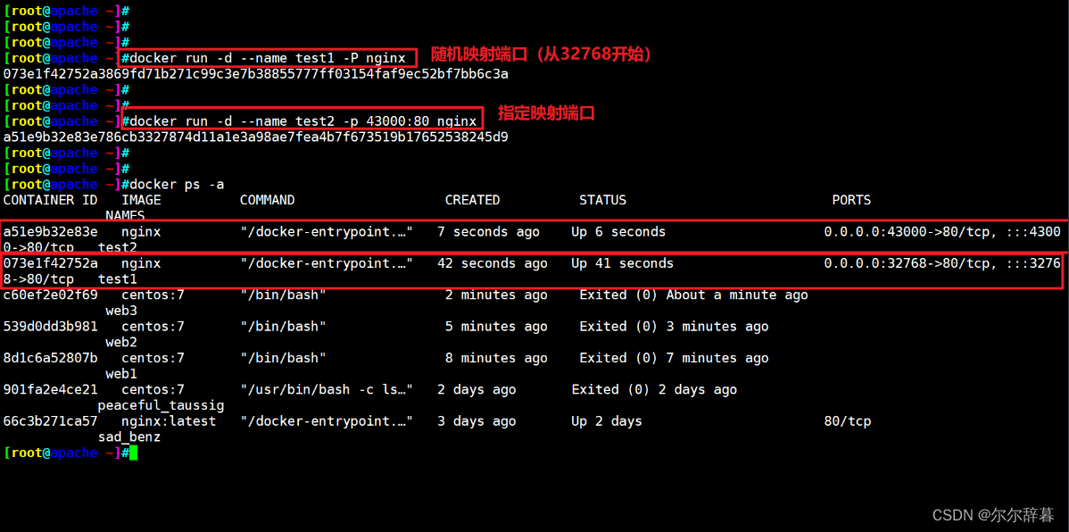 Docker数据管理和网络通信 Dockerfile Csdn博客
