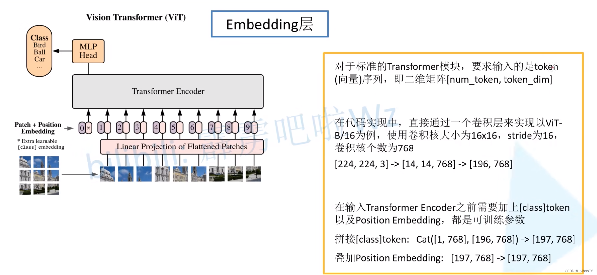 [pytorch] ViT 2D + 3D代码 实现,改写_3d vit-CSDN博客