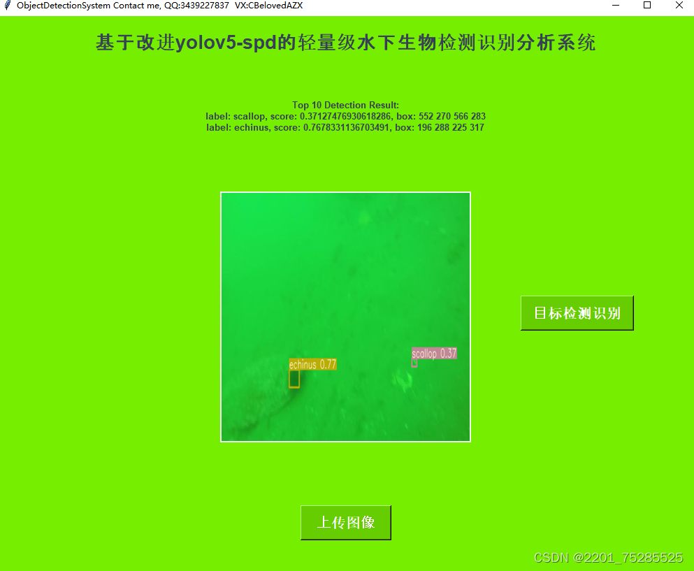 yolov3/yolov4/yolov5/yolov6/yolov7/lite/fastdet/efficientdet各系列模型开发、项目交付、组合改造创新之—水下海底生物检测系统设计开发 ...