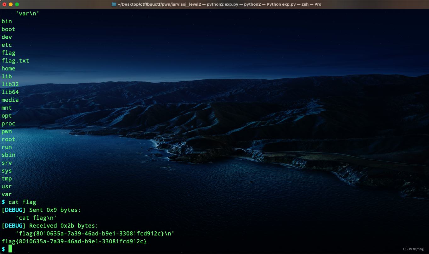 jarvisoj_level2-CSDN博客