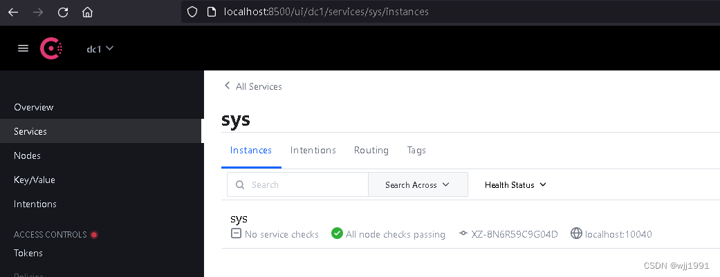 Ocelot+Consul配置(.net6，win10系统)_net core 6.0 ocelot-CSDN博客