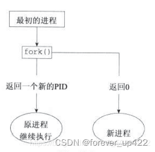 操作系统linux环境下的fork()进程创建以及fork()与fork()的区别_fork的进程如何区分-CSDN博客