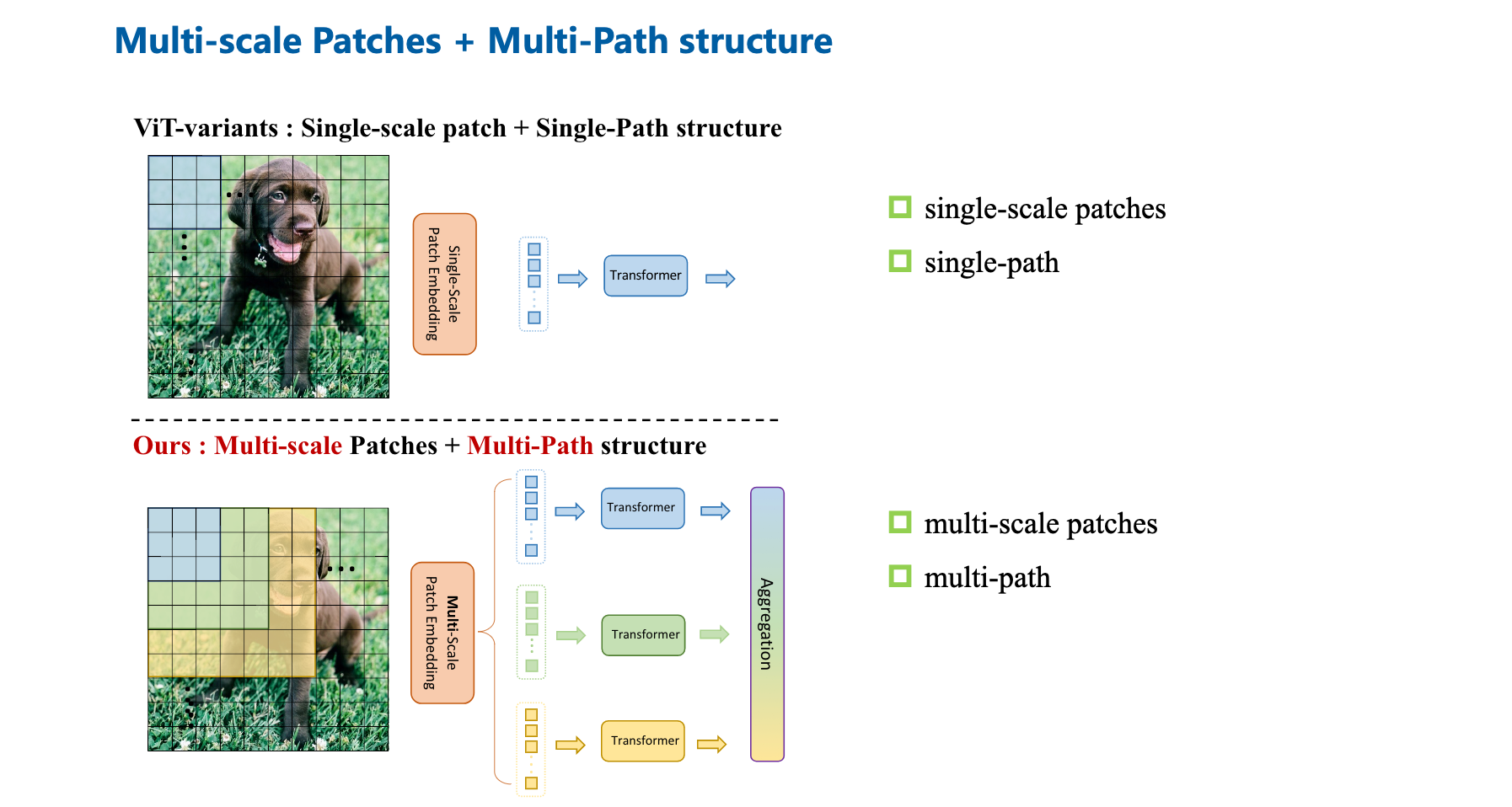 论文阅读：MPViT : Multi-Path Vision Transformer for Dense Prediction_mvit 论文解读-CSDN博客
