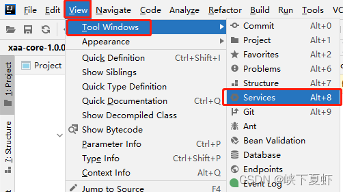 在IDEA中开启Dashboard（Services）_idea dashboard开启-CSDN博客