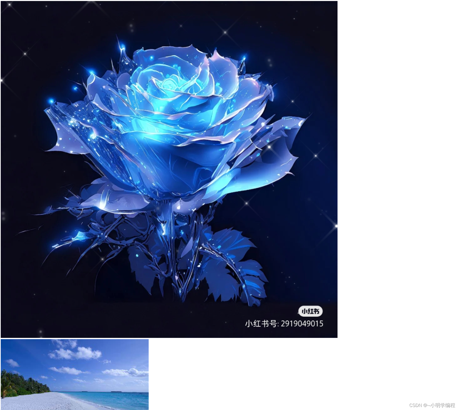 HTML基础-CSDN博客