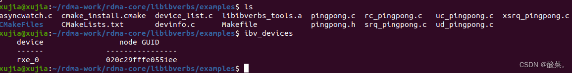 rdma-core的ibv_devices命令源码阅读_failed to get ib devices list:-CSDN博客