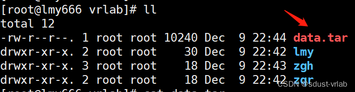 linux小白入门基础命令（三）——tar打包和压缩_linux打包tgz-CSDN博客