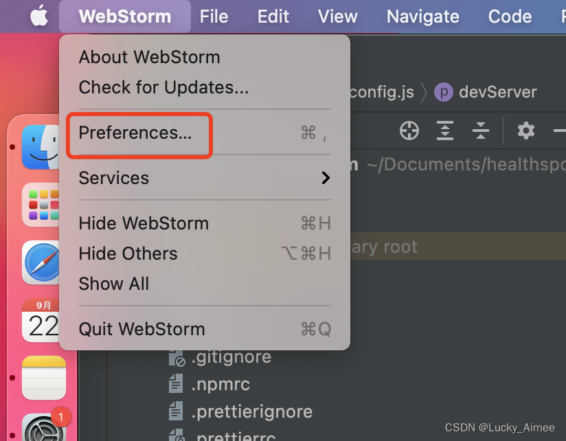 webstorm局域网ip访问html_webstorm 局域网访问-CSDN博客