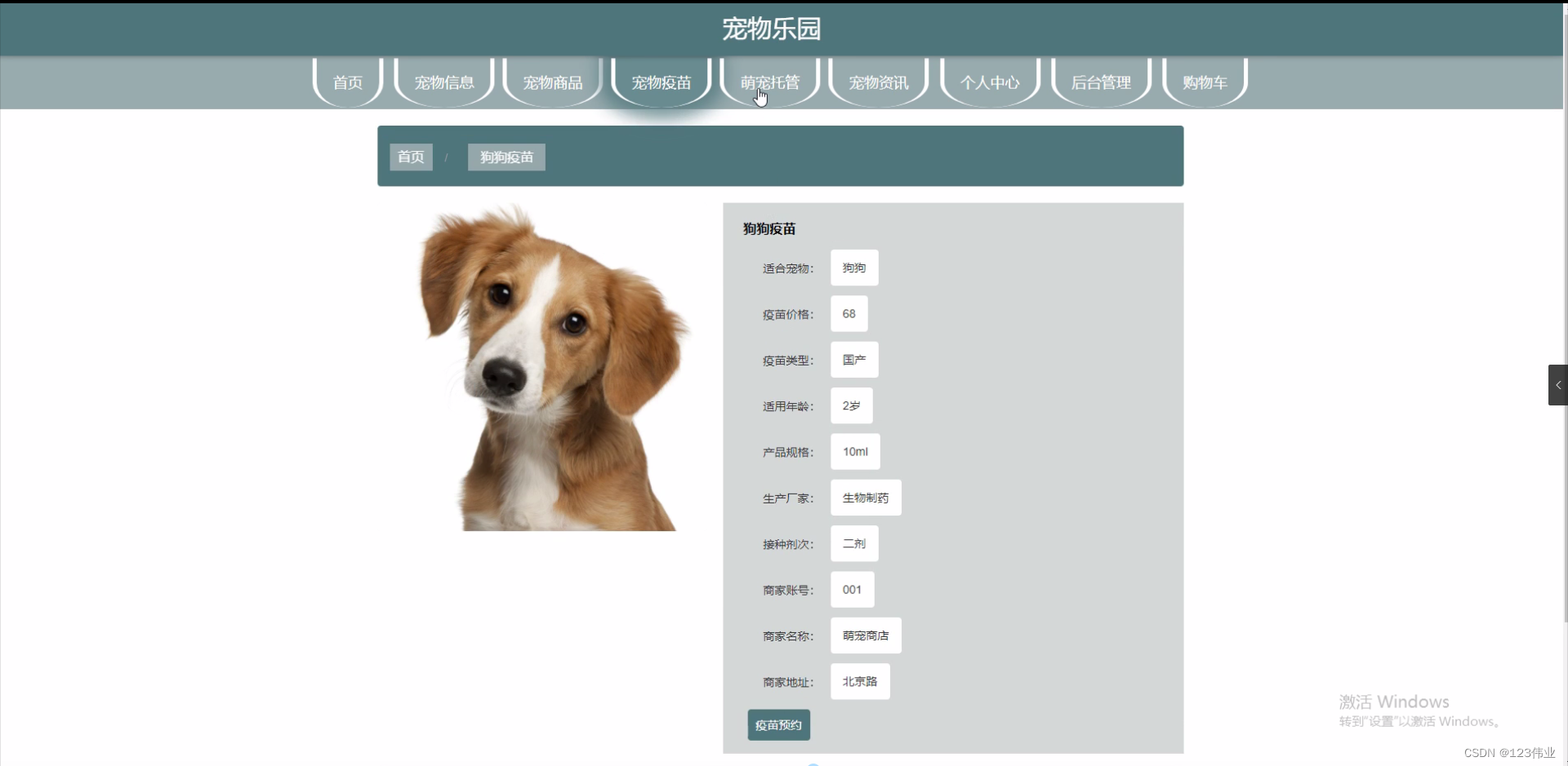 springboot毕设项目宠物乐园rp9dc（java+VUE+Mybatis+Maven+Mysql）_宠物乐园java-CSDN博客