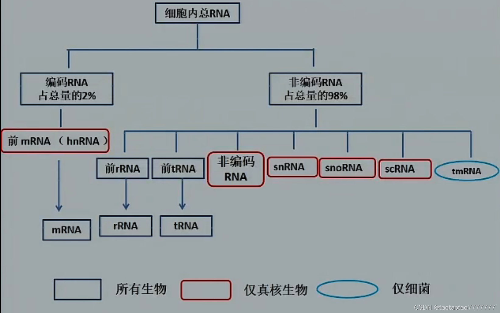 【中科院】分子生物学-朱玉贤第四版-笔记-第5-6讲 转录_穷追模型-CSDN博客