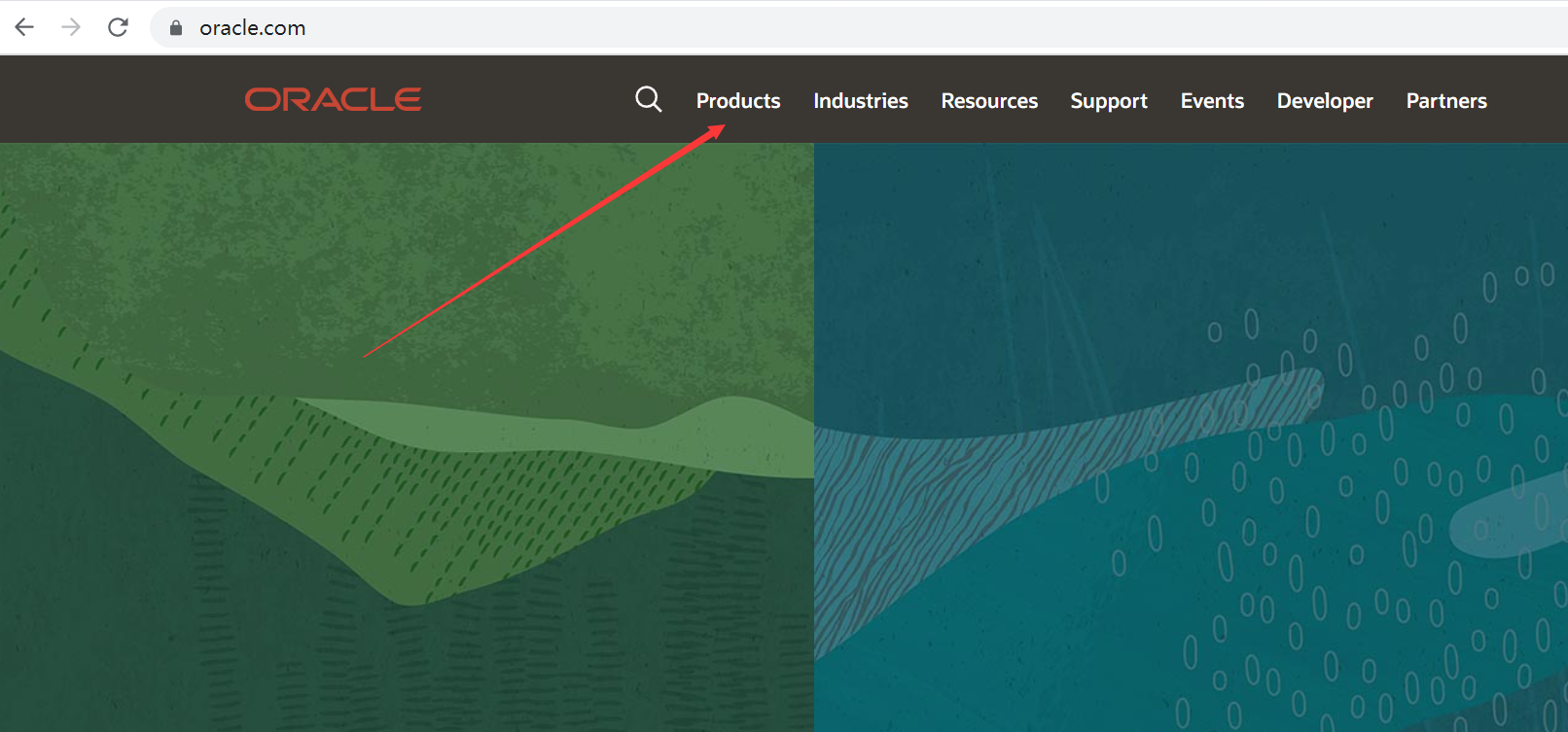 Oracle19c数据库下载及安装步骤(详细)以及连接Navicat和PLSql_cloud applications and cloud platform-CSDN博客
