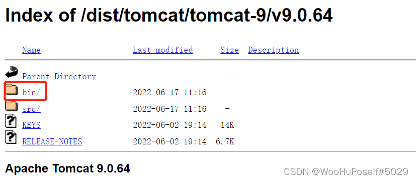 tomcat下载_tomcat9.0.64 下载-CSDN博客