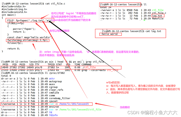 Linux 基础—— IO 全面介绍_linux io-CSDN博客