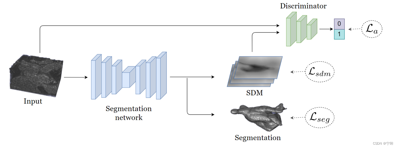 半监督3D医学图像分割（四）：SASSNet_shape-aware semi-supervised 3d semantic ...