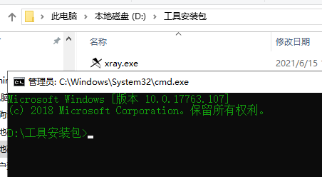 xray 的安装及使用（入门）_xray快捷-CSDN博客