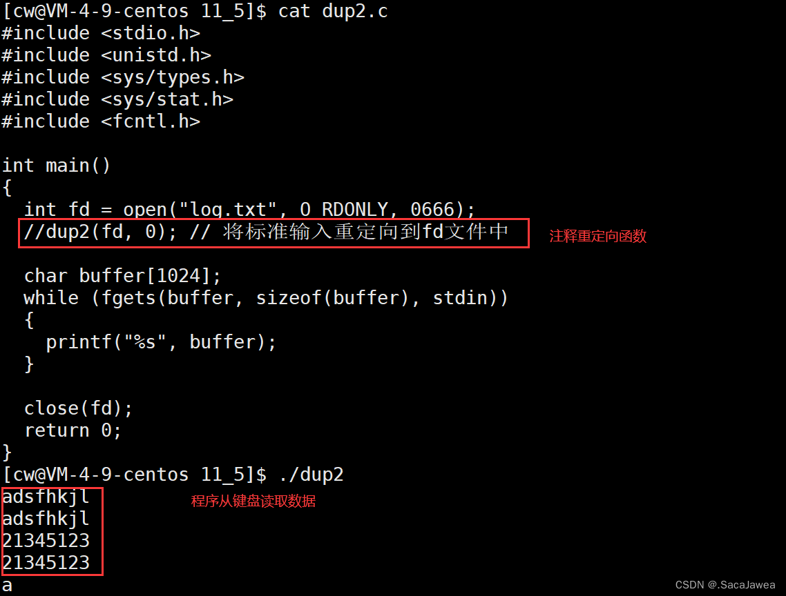 Linux | 文件描述符理解 | 系统级别的文件操作讲解 | 一切皆文件的由来 | 重定向dup2函数讲解_linux dup2 函数 文件 ...