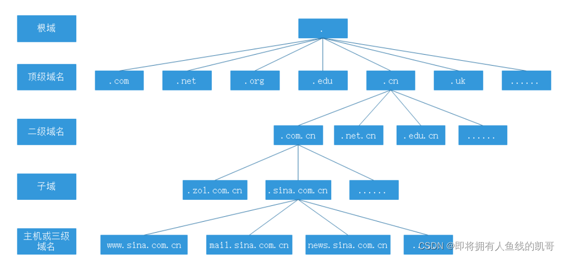Linux网络之DNS域名解析概述_linux 域名解析-CSDN博客