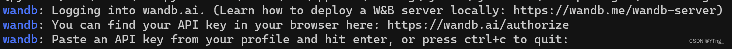 解决wandb.errors.UsageError: api_key not configured (no-tty). call wandb.login(key=[your_api_key ...