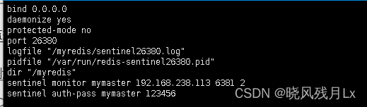 Redis7之哨兵(九)_sentinel 选举 和 bind-CSDN博客