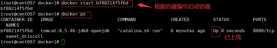 Docker学习：理论基础之Docker容器生命周期 | kill和 stop的区别与联系 | docker pause/ unpause_docker kill和docker stop的区别 ...
