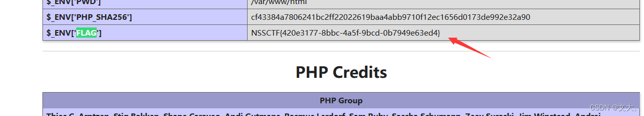 【WP】FSCTF 2023 WEB-CSDN博客