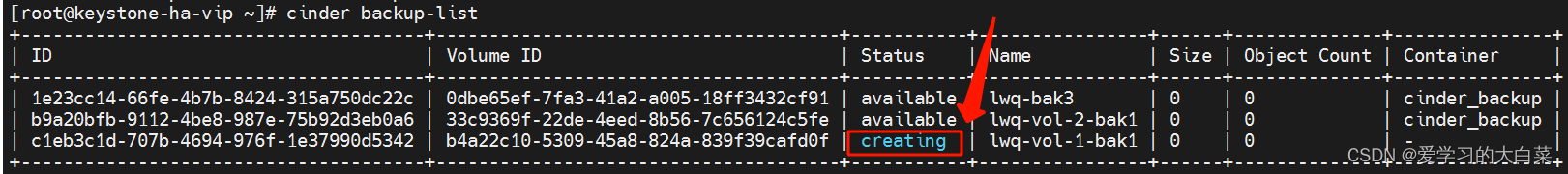 cinder 创建 backup 一直处于 “creating”状态。怎么删除？_cinder 创建云硬盘状态一直createing-CSDN博客