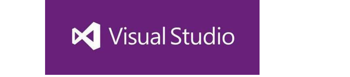 Visual Studio 2019安装与使用_visual studio professional 2019-CSDN博客