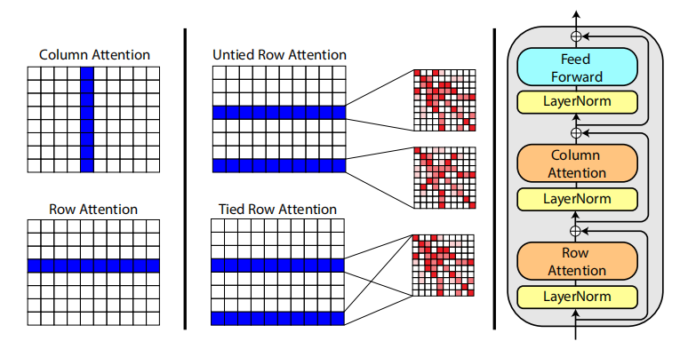 ESM蛋白质语言模型学习笔记_esm模型-CSDN博客
