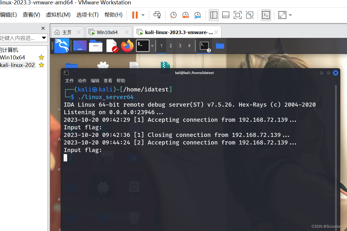 2023年SWPU NSS 秋季招新赛 CTF Reverse‘方向WP详解_[swpuctf 2023 秋季新生赛]junk code-CSDN博客