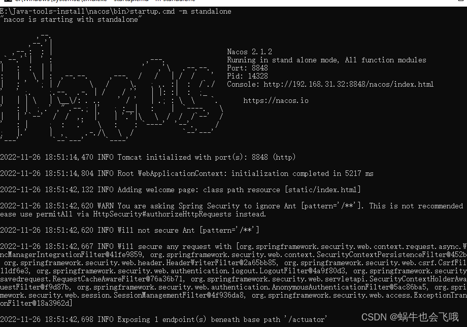 NACOS安装部署（windows）_nacos安装配置和部署教程windows-CSDN博客