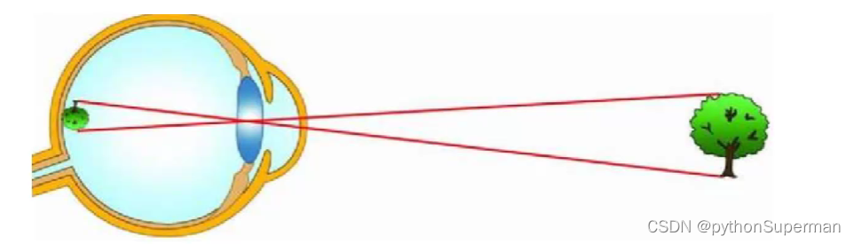 计算机视觉及图像预处理 01-计算机视觉概述_计算机视觉与图像处理-CSDN博客