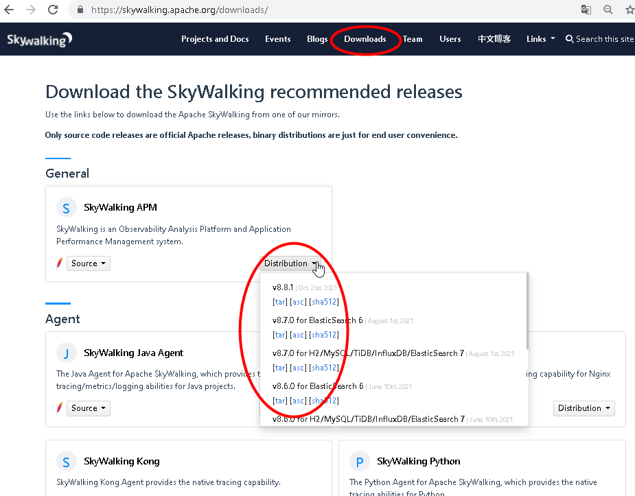 5.SpringCloud：Skywalking链路追踪和应用监控_searchabletracestags_zyplanke的博客-CSDN博客