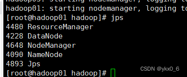 搭建hadoop集群_hadoop集群搭建-CSDN博客
