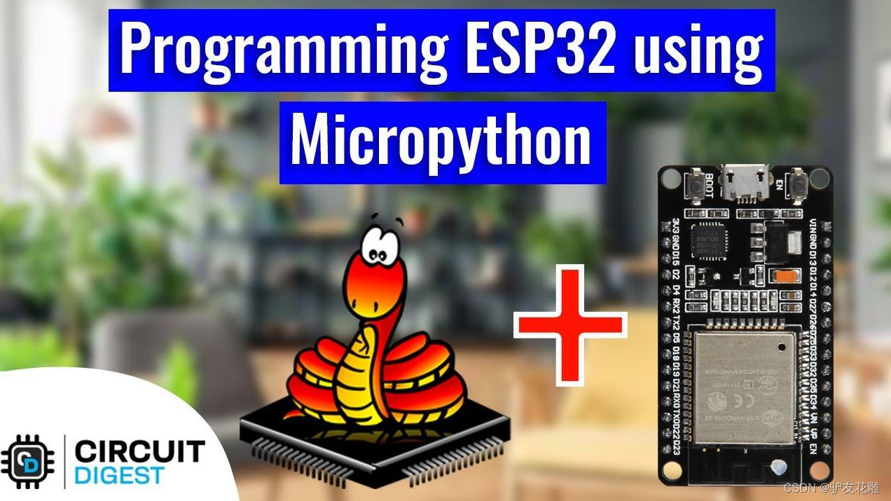 【雕爷学编程】MicroPython手册之 ESP32 引脚和GPIO_esp32 v1.0.0 rev1 for micropython 引脚-CSDN博客