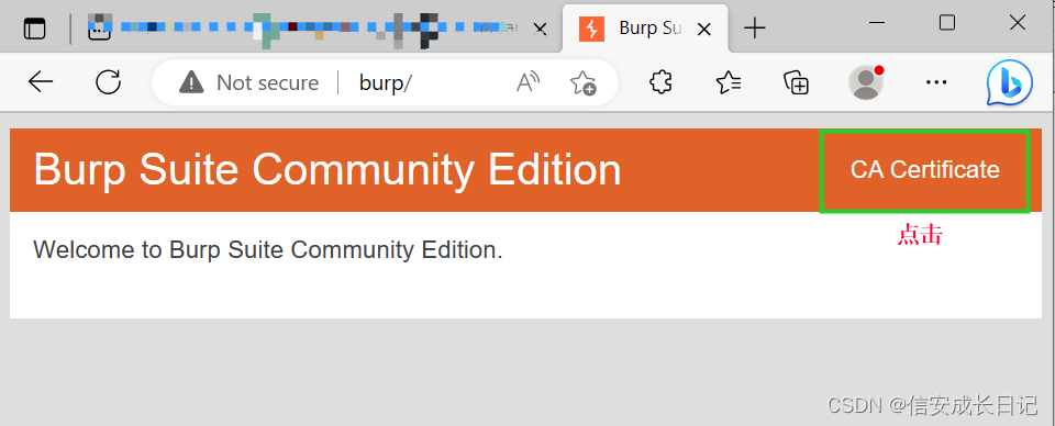 浏览器配置burpsuite证书，burp 配置出网代理_burp证书导入浏览器-CSDN博客