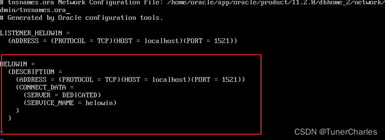 Linux系统下通过docker安装oracle 11g数据库 Docker拉去oracle数据库 Csdn博客