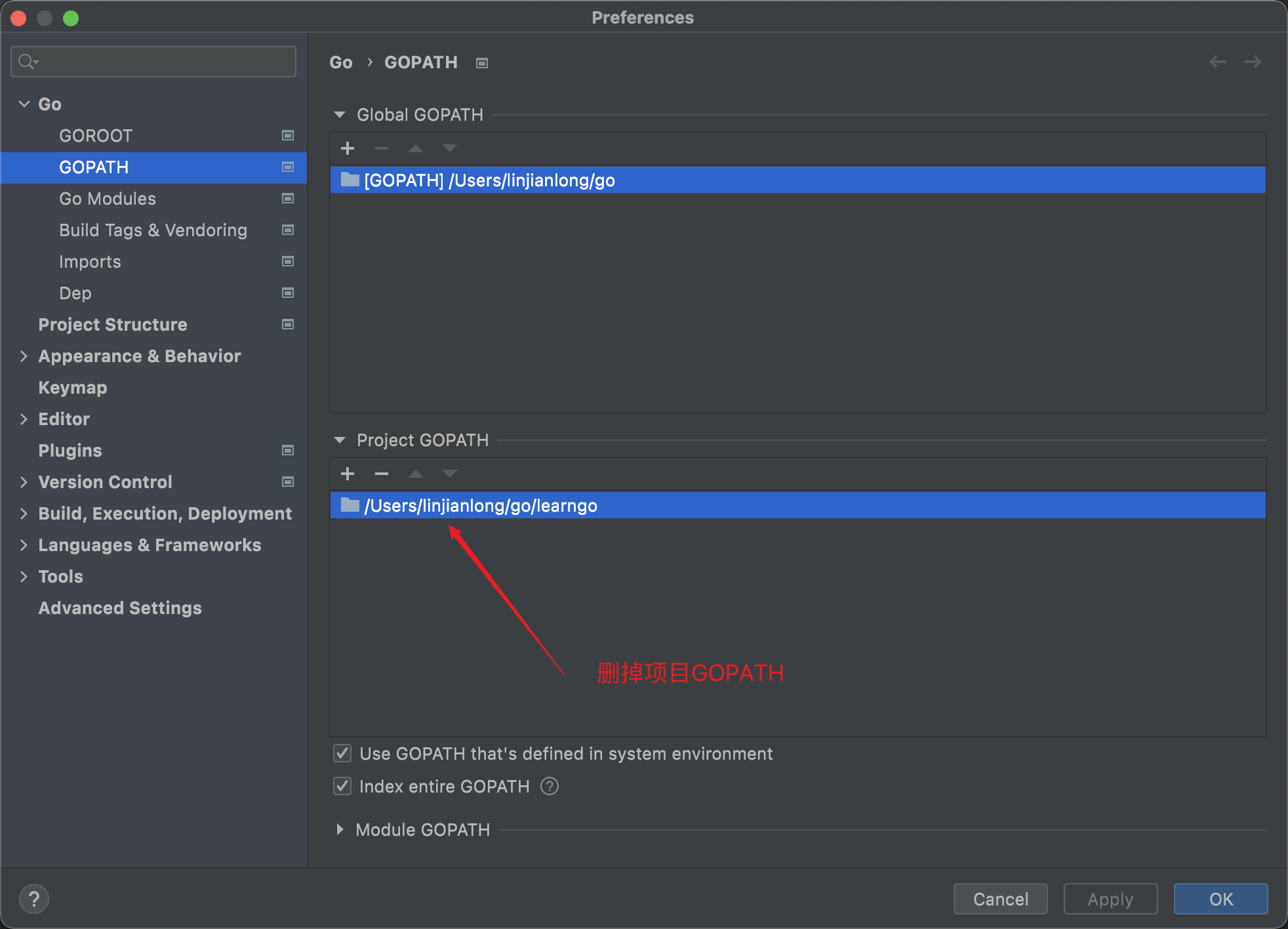 解决Goland错误：$GOPATH/go.mod exists but should not-CSDN博客